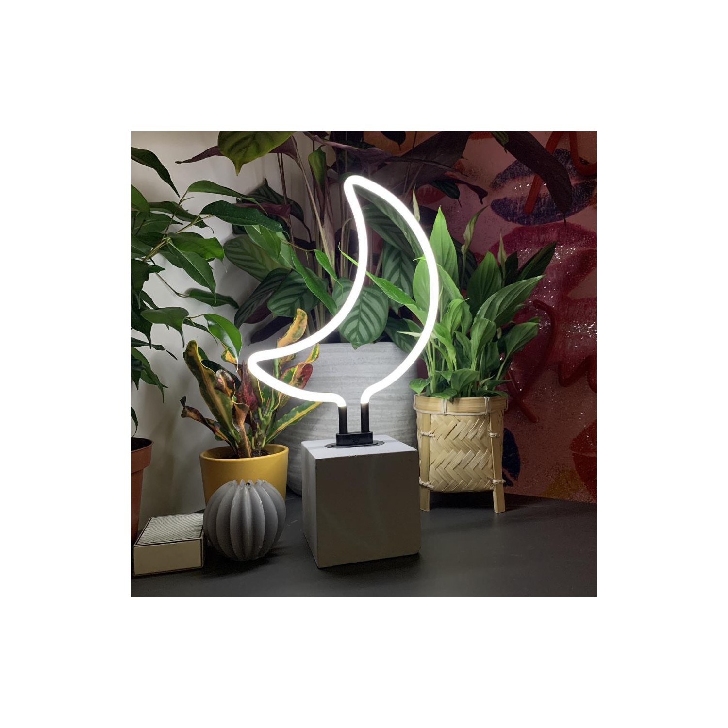 Locomocean Neon (Concrete Base) Moon